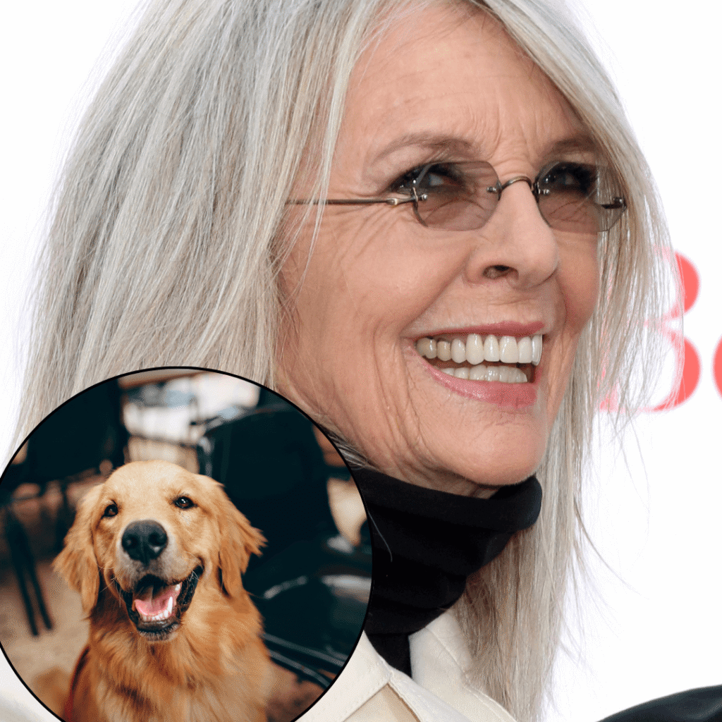 Diane Keaton’s $5M Pet Trust: Texas Law Lessons | Dallas Law